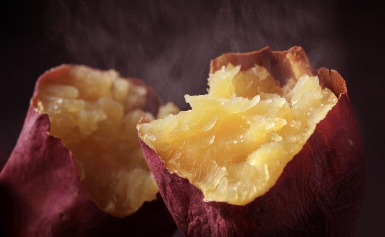 石焼き芋にほんまつ | Rojima（ロジマ）