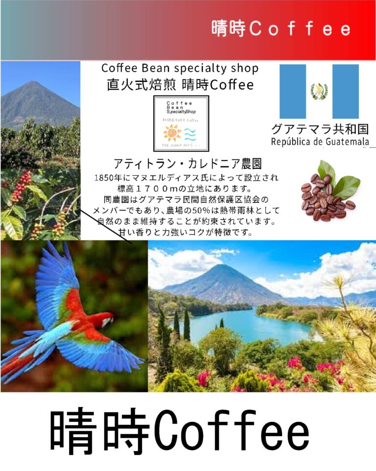 晴時Coffee | Rojima（ロジマ）